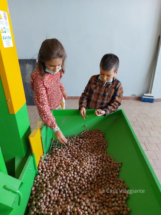 Agriturismo per famiglie in Piemonte: una giornata da Fratelli Durando ...